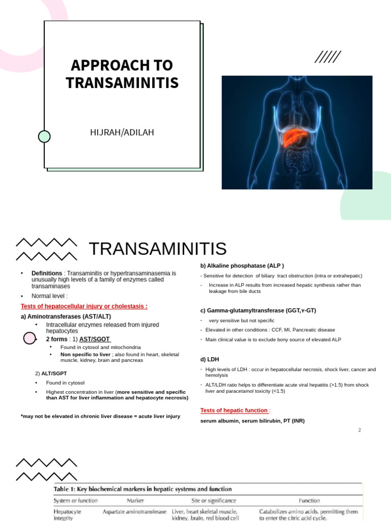 Final Approach To Transaminitis | PDF | Medical Specialties | Liver