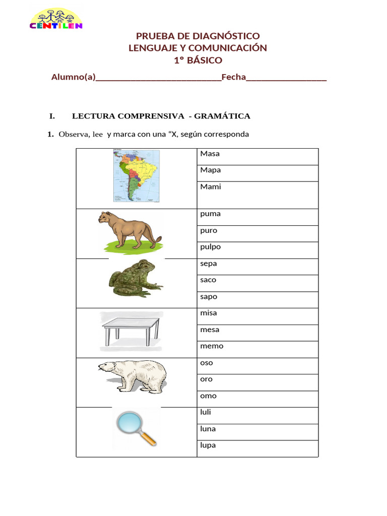 Prueba Diagnóstica Lenguaje 1º Básico | PDF