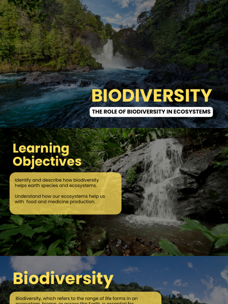 Biodiversity in Ecosystems Educational Presentation in Colorful ...