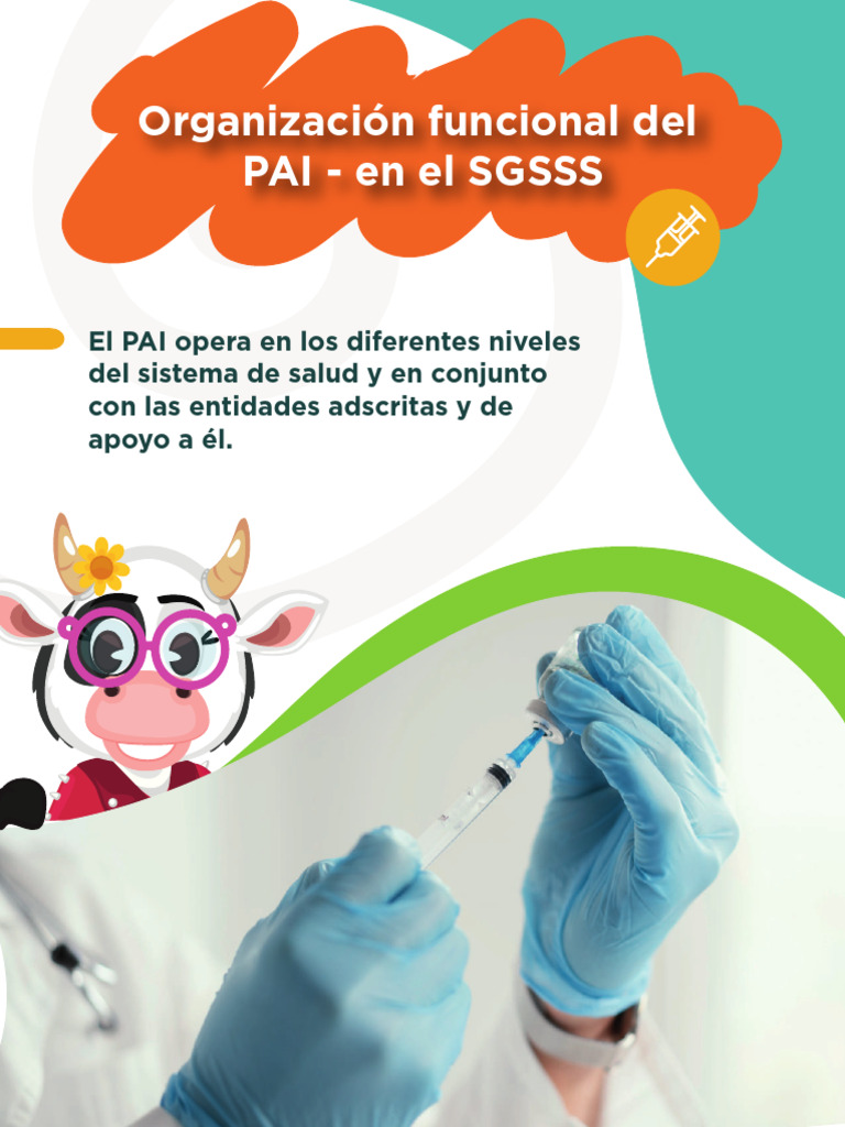 Organizacion Funcional Del PAI | PDF | Vigilancia