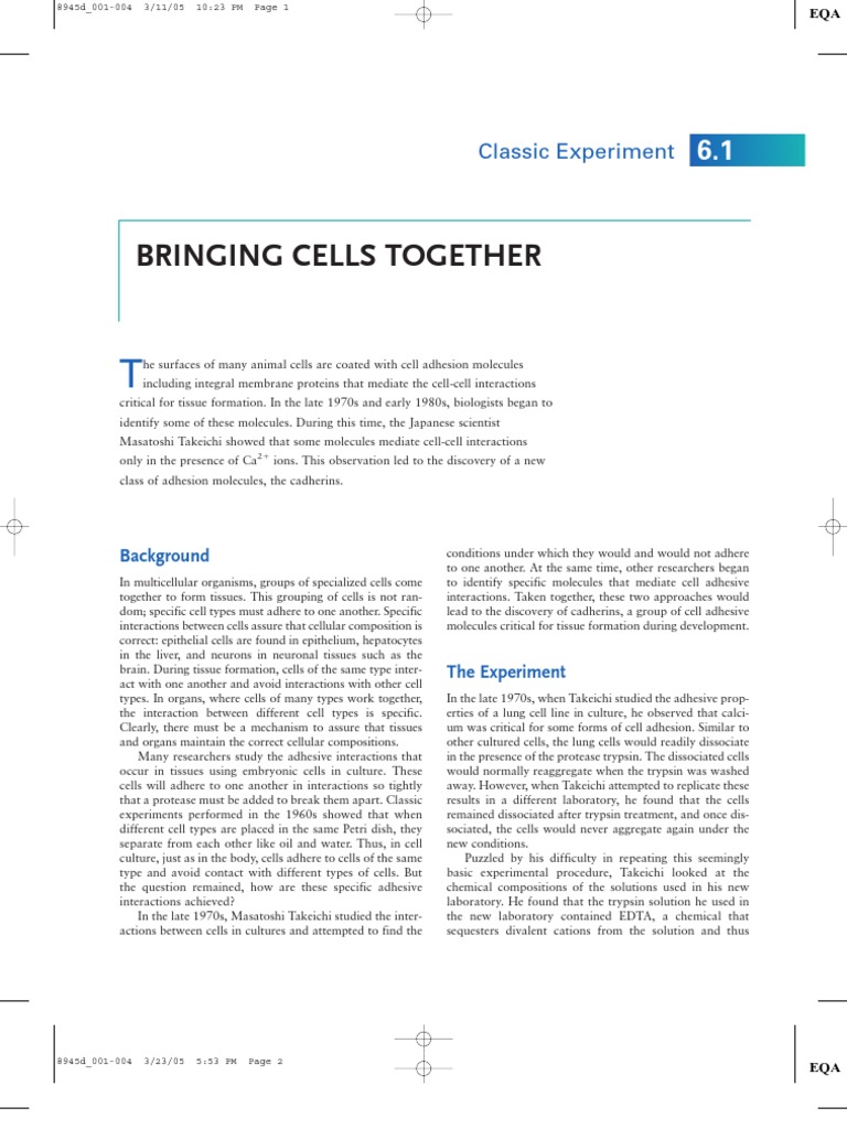 Bringing Cells Together: Classic Experiment | PDF | Cell Adhesion ...