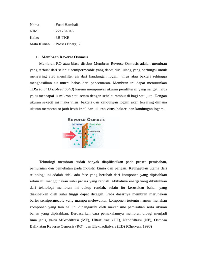 Tugas Pendahuluan Proses Energi 2 | PDF
