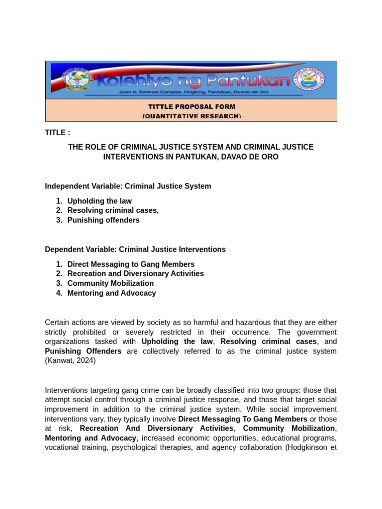 Diversionary Activities in Criminal Justice | PDF