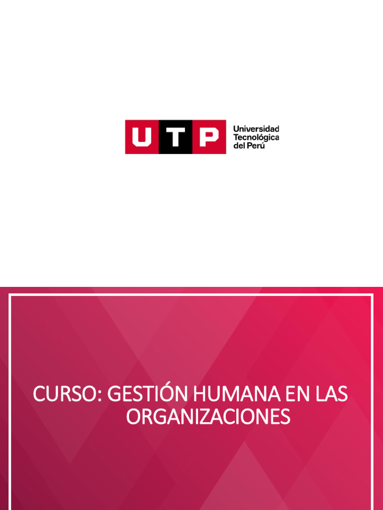 S09 - s1 - Exposiciòn Integrada de Perfiles Elaborados | PDF | Crecimiento personal y profesional