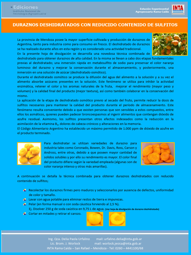 Script TMP Inta Duraznosdeshidratados | PDF | Alimentos | Ósmosis