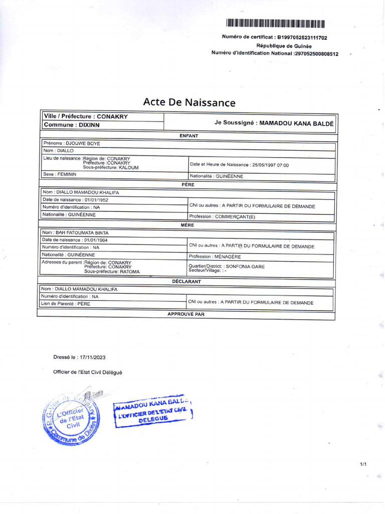 Extrait Diallo | PDF