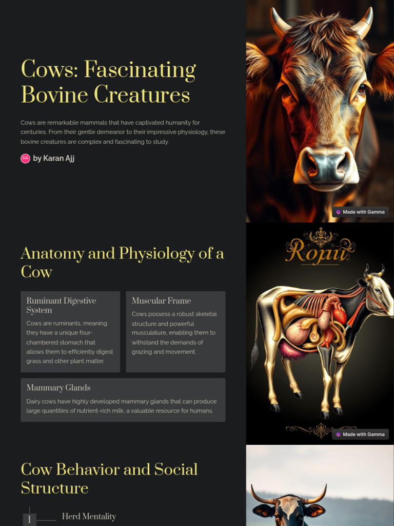 Cows Fascinating Bovine Creatures | PDF | Cattle | Dairy Cattle