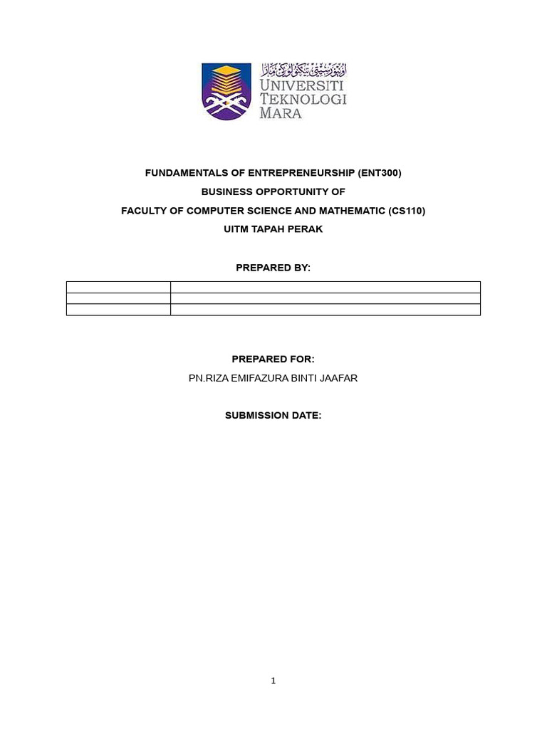 Ent300 Individual Report | PDF