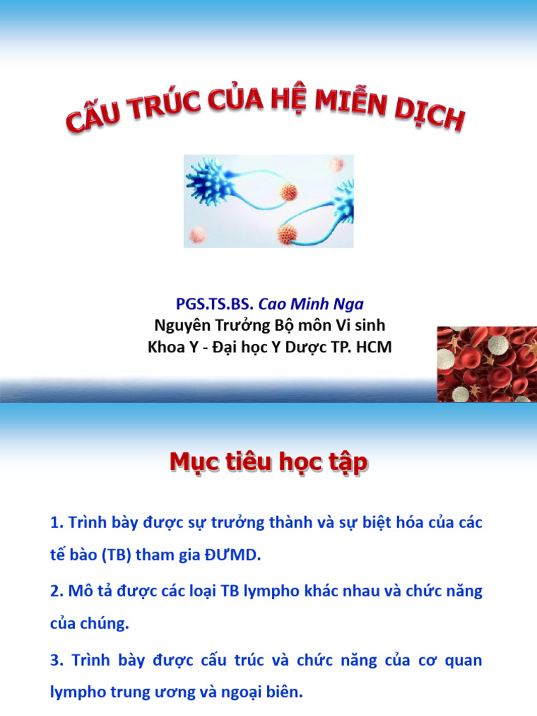 Cấu Trúc Của Hệ MD (1t), Từ 2022-23 - BS. NGA | PDF
