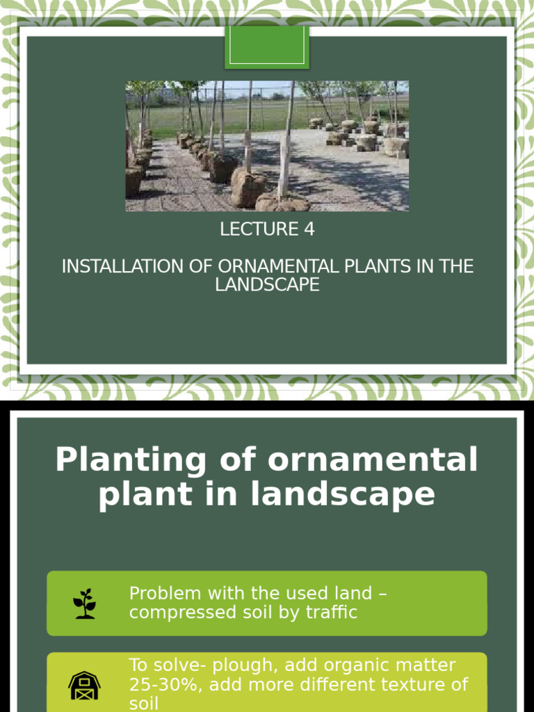 Lect 4 - Installation of Ornamental Plants-Planting Method Staking ...