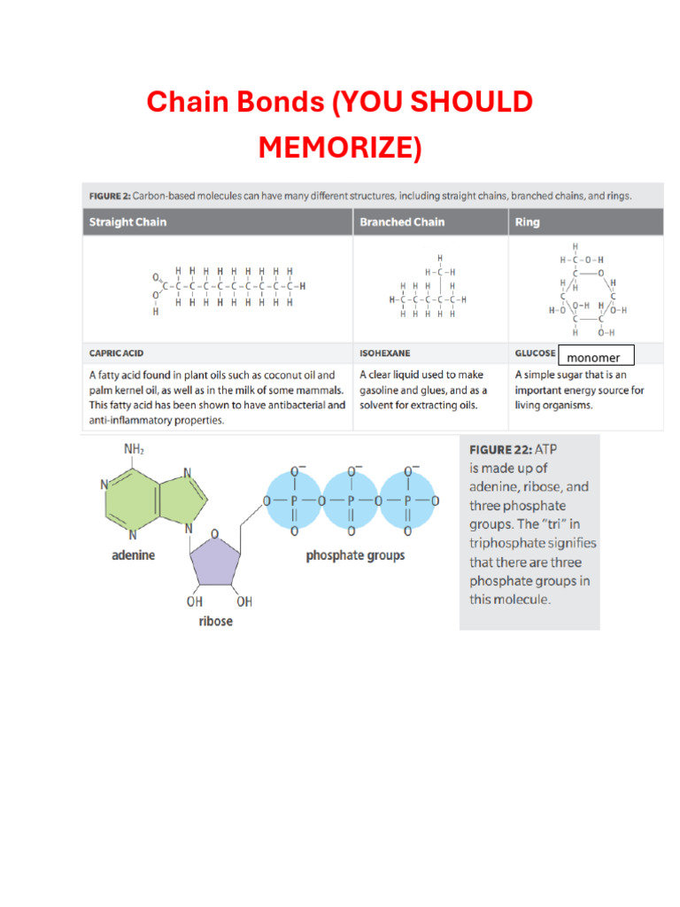 Chain Bonds (YOU SHOULD MEMORIZE) | PDF