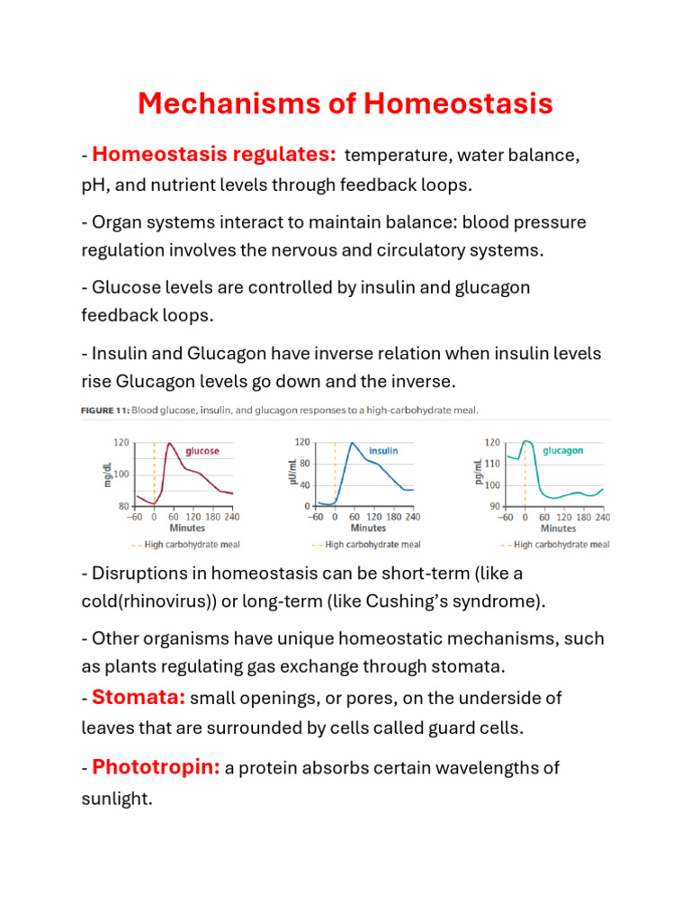 Mechanisms of Homeostasis Summary | PDF