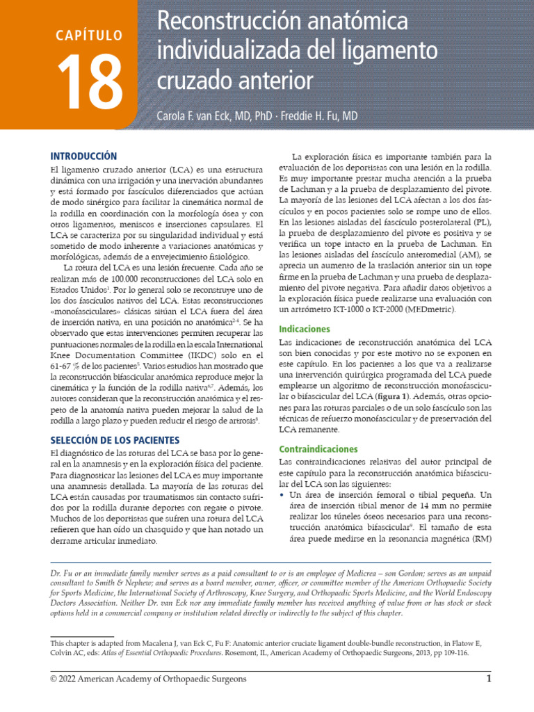 Reconstruccion Anatomica LCA | PDF | Rodilla | Extremidades (anatomía)