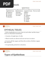 Cbse Class Ix Animal Tissue Flow Chart | PDF | Epithelium | Tissue ...