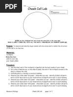 Onion Cell and Cheek Cell Lab | PDF | Cell (Biology) | Anatomy