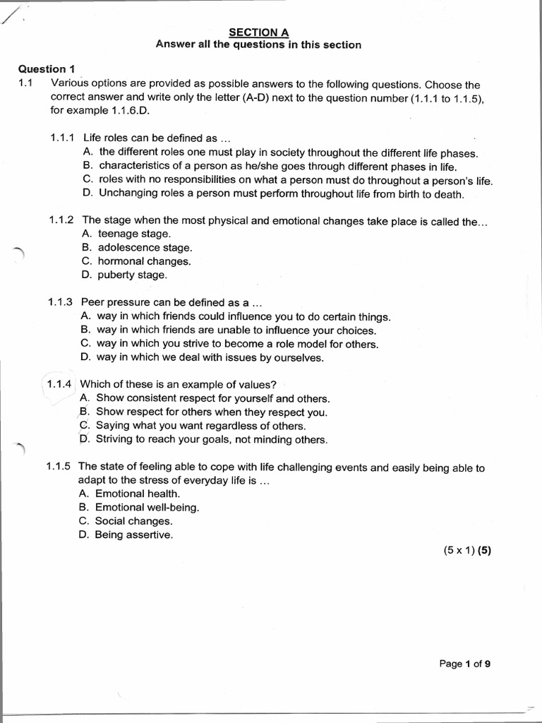 Lo Term 4 Past P | PDF