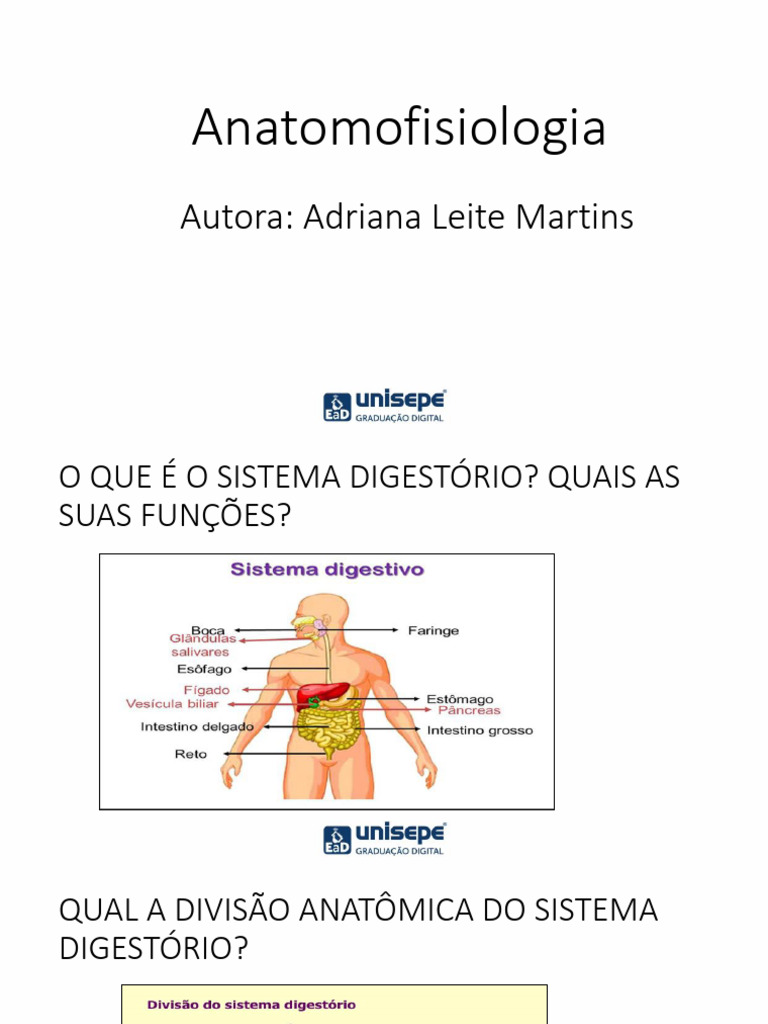 Anatomofisiologia Cap10 | PDF