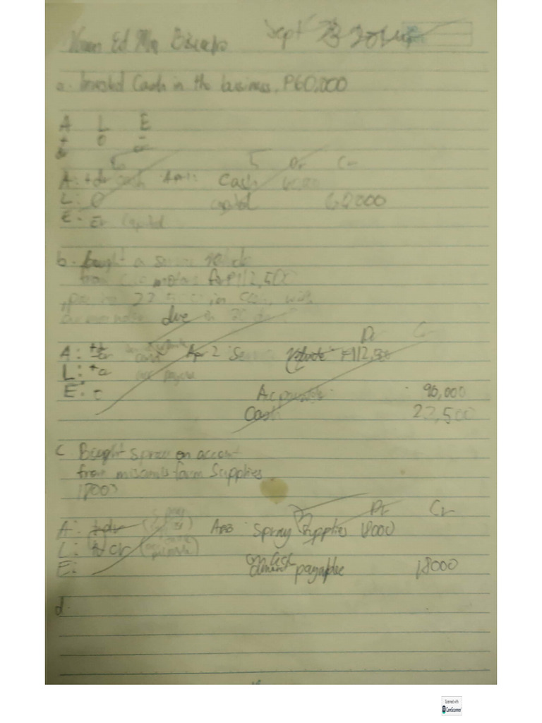 Baconga Account 92324 | PDF