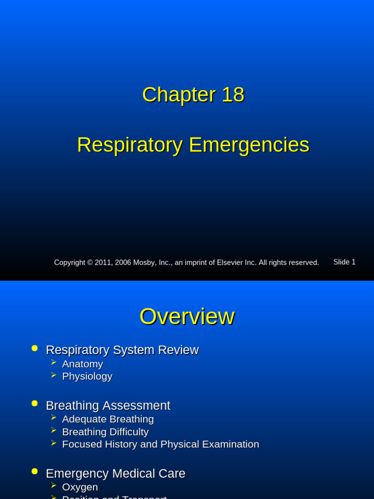 Chapter 018 | PDF | Respiratory System | Respiratory Tract
