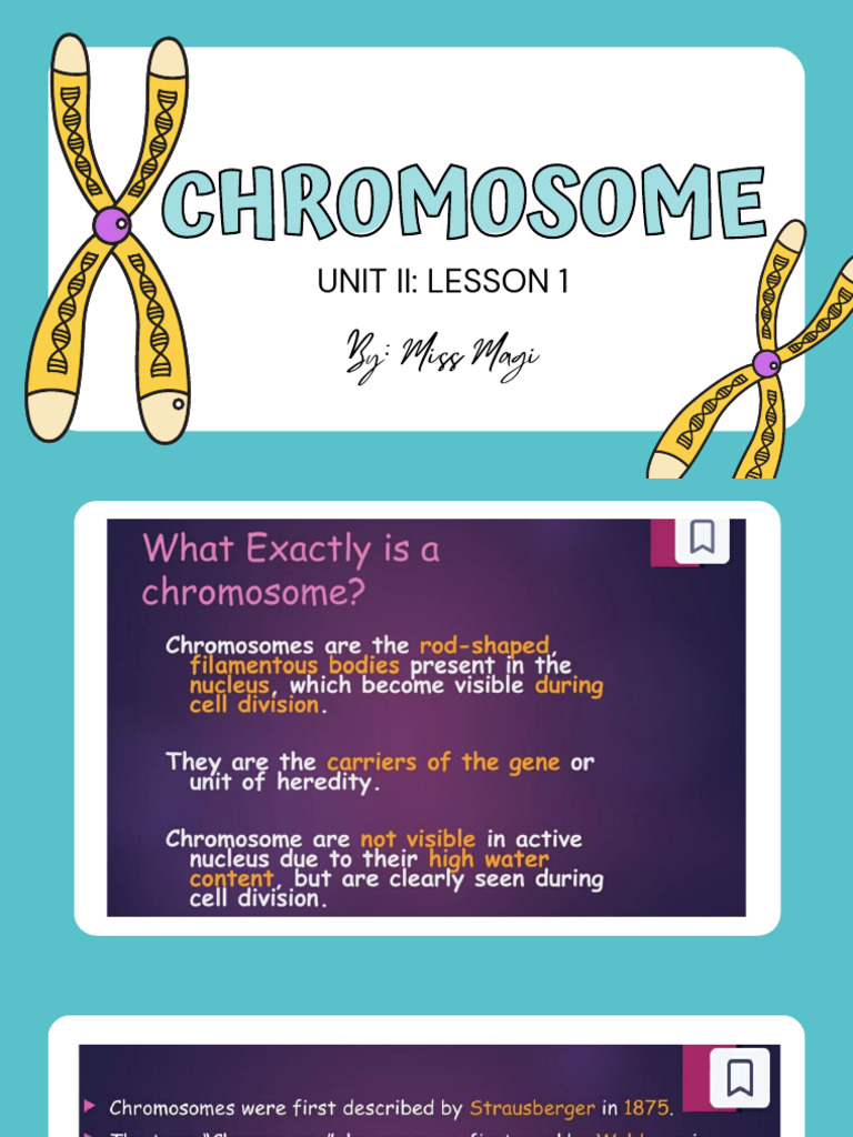 CHROMOSOME | PDF