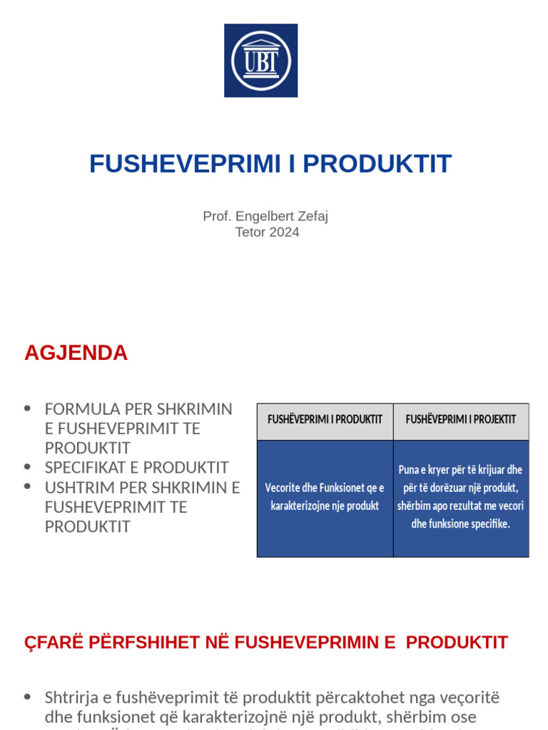 Fusheveprimi I Produktit | PDF