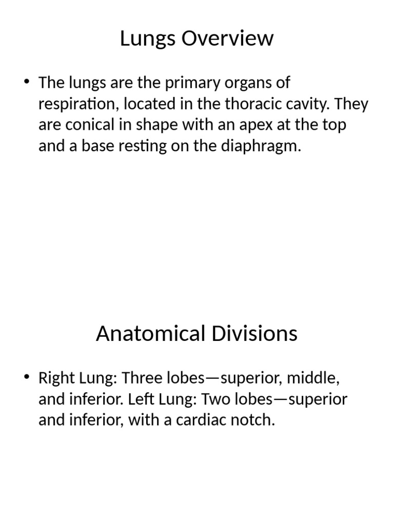 Lungs Anatomy Presentation | PDF