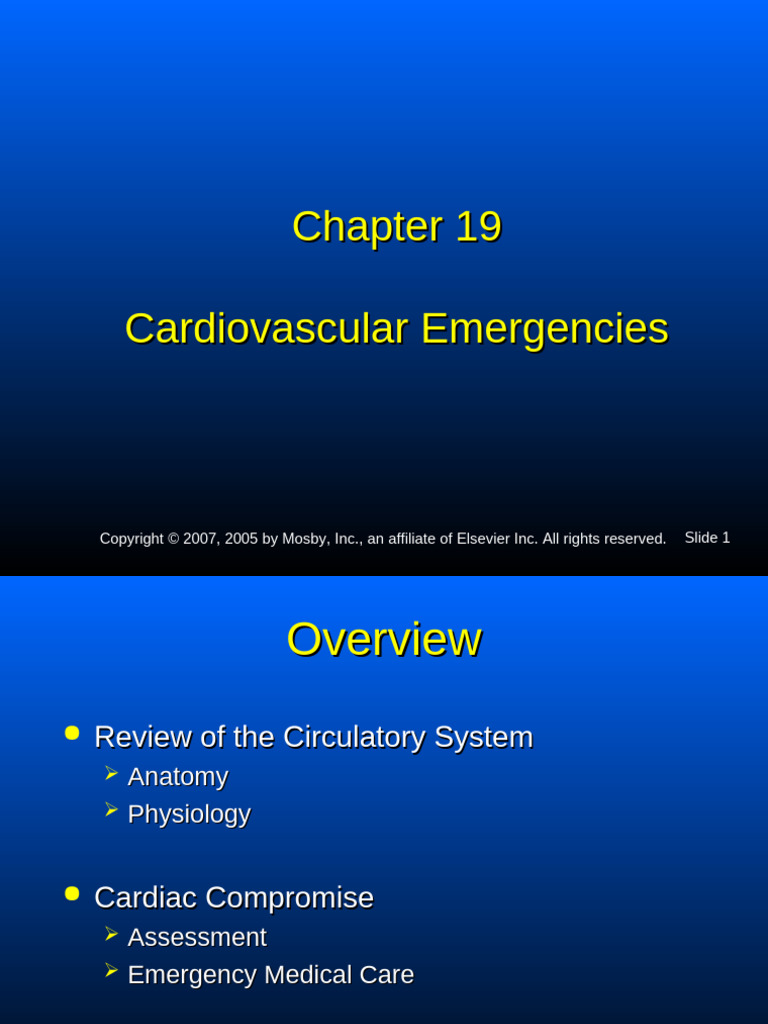 Chapter 019 | PDF | Artery | Heart