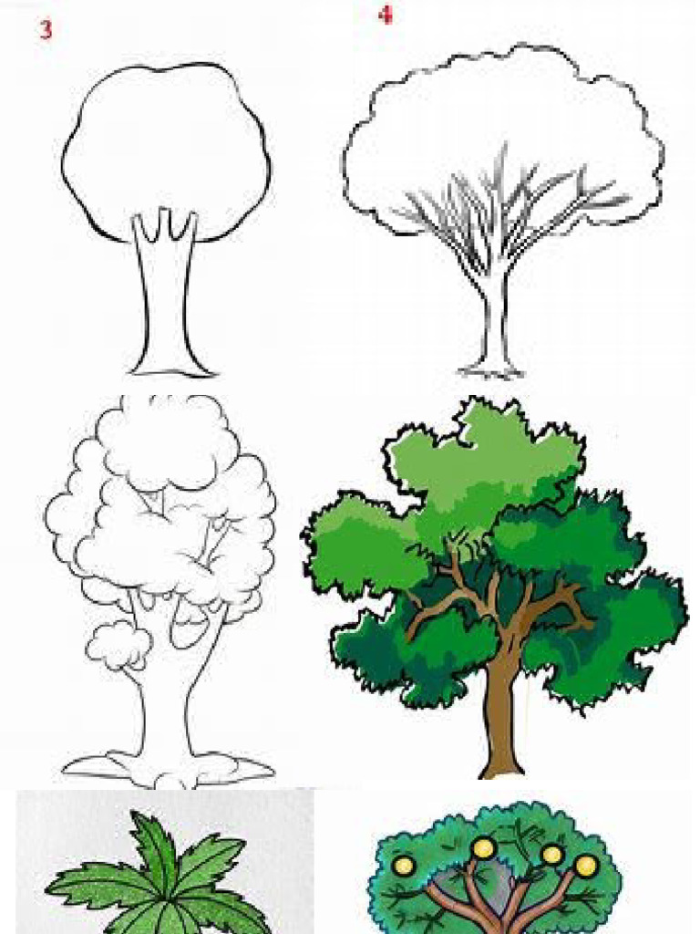 Tress | PDF