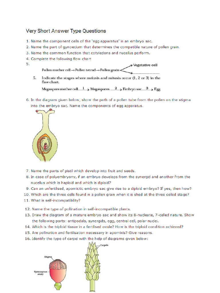 Sexual Reproduction in Flowering Plants | PDF | Teachers | Expert
