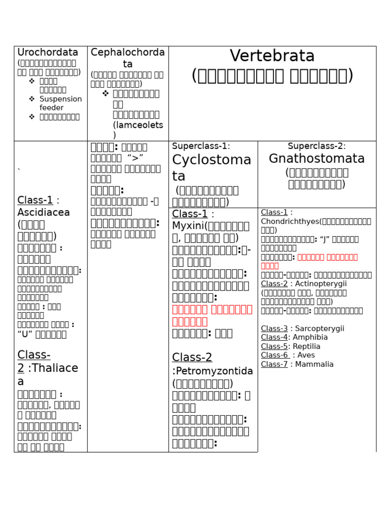 Chordata Classification | PDF