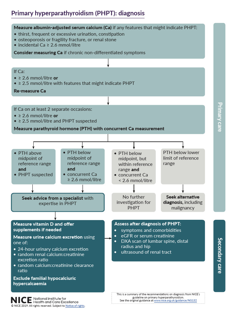Hyperparathyroidism Diagnosis Visual Summary PDF 6782711869 | PDF ...