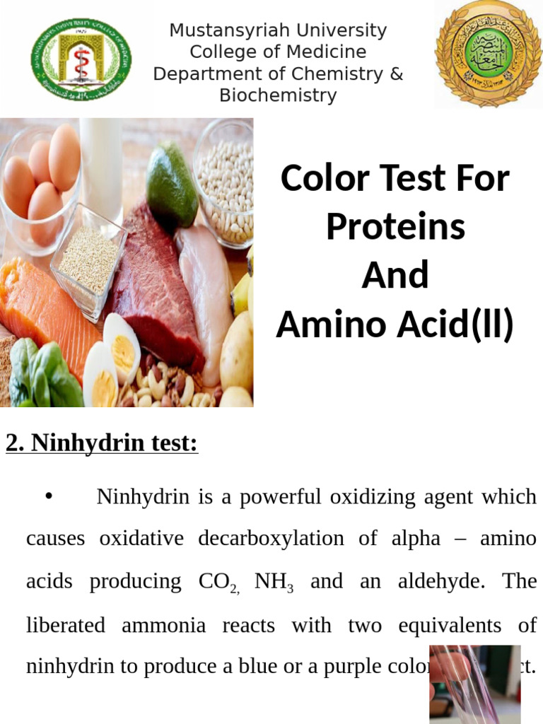 Color Test For Proteins LL | PDF