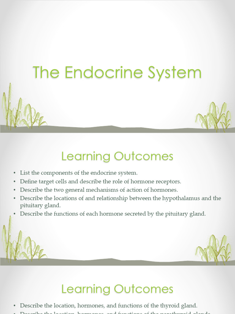 Unit 12 The Endocrine System Part 1 | PDF | Endocrine System | Luteinizing Hormone