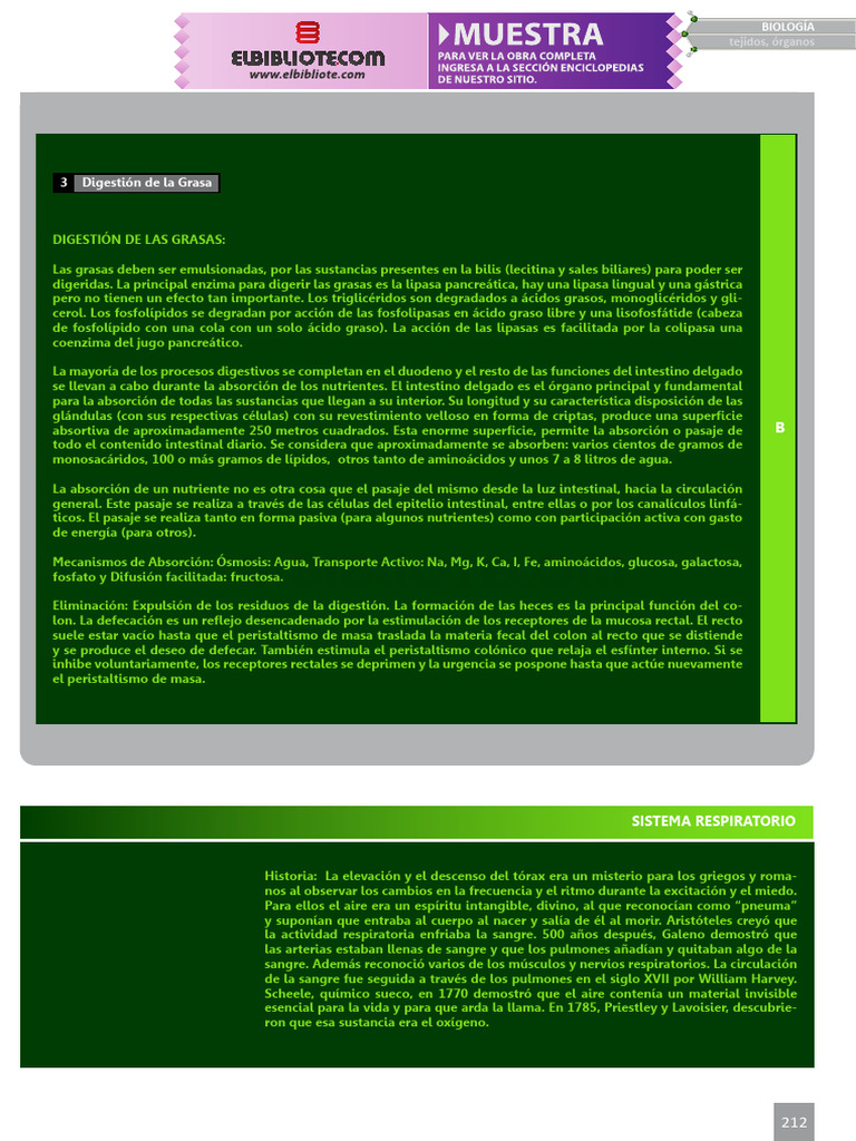212 214 Biologia Respiratorio | PDF | Digestión | Nariz humana