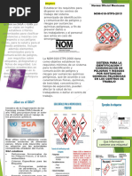 Nom-018-Stps-2015 Sga - HDS | PDF | Administración de Seguridad y Salud Ocupacional