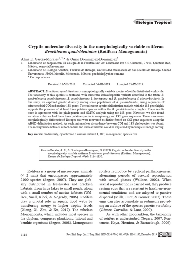 Garcia - Dominguez - 2019 - Cryptic Diversity Bquadridentatus | PDF ...