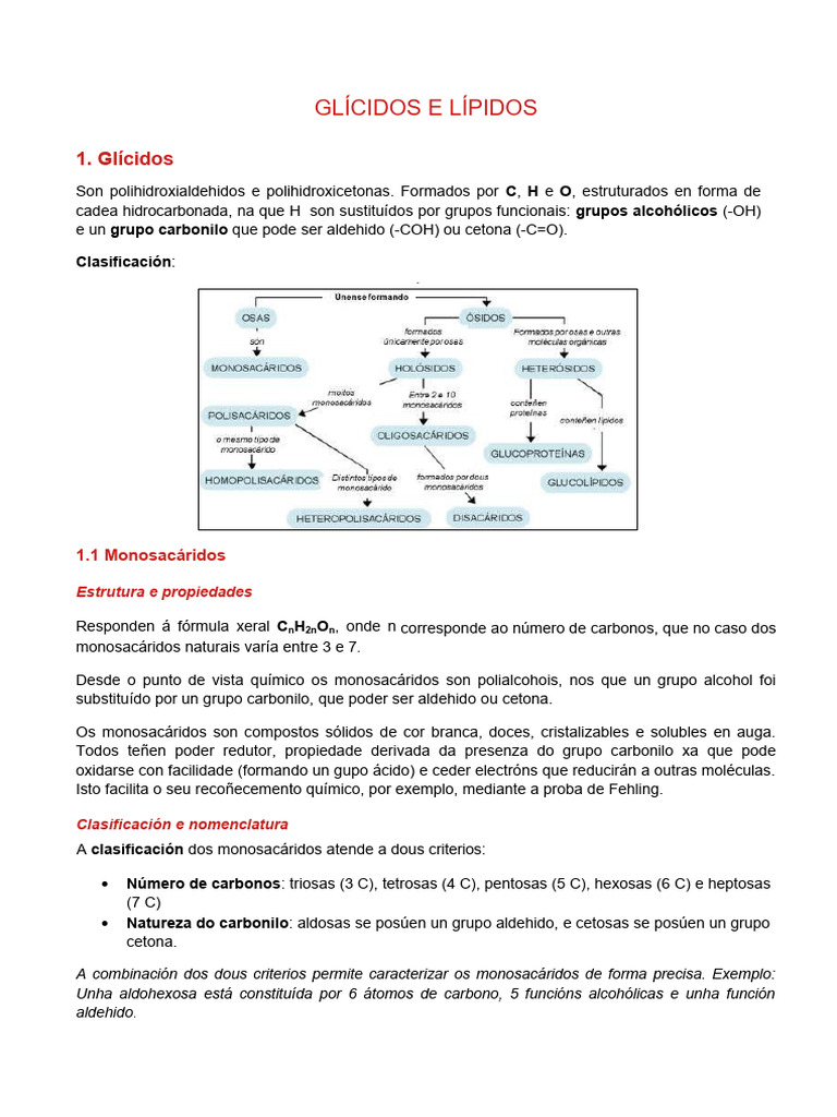 Resumen Glucidos y Lipidos 2bach | PDF