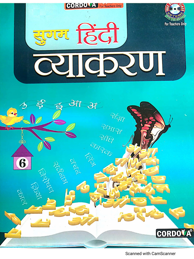 Class 6 Sugam Hindi Vayakaran | PDF