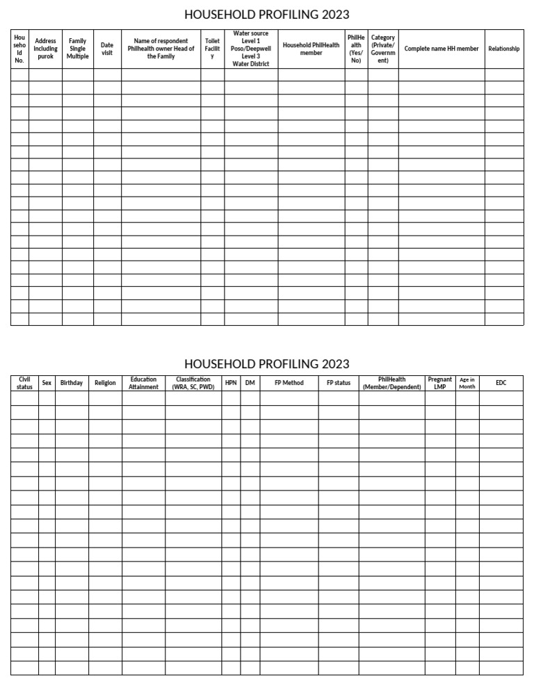 Household Profiling | PDF