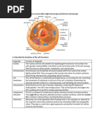 UHC Sweat Equity Member Reimbursement Form EN | PDF | Insurance