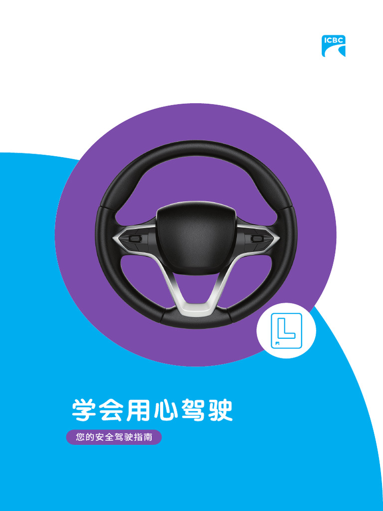 Driver Full Chinese | PDF