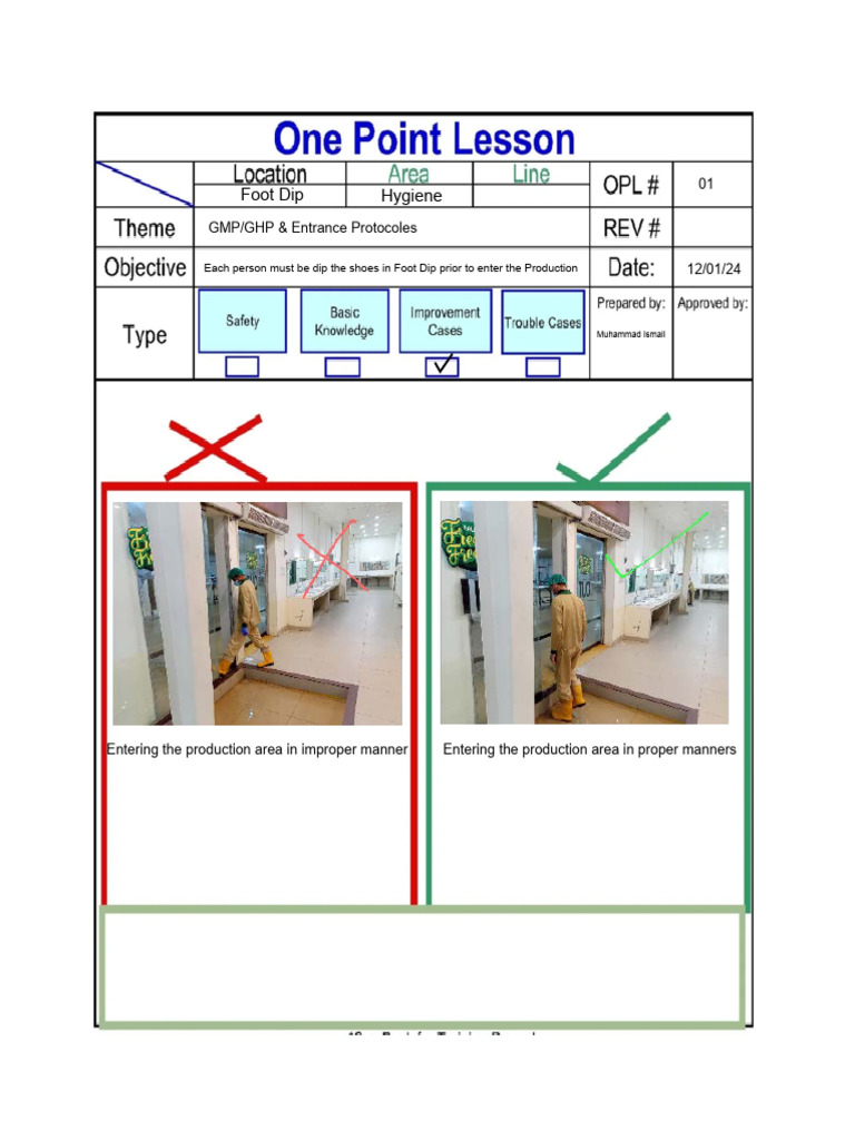 Foot Dip: Hygiene | PDF