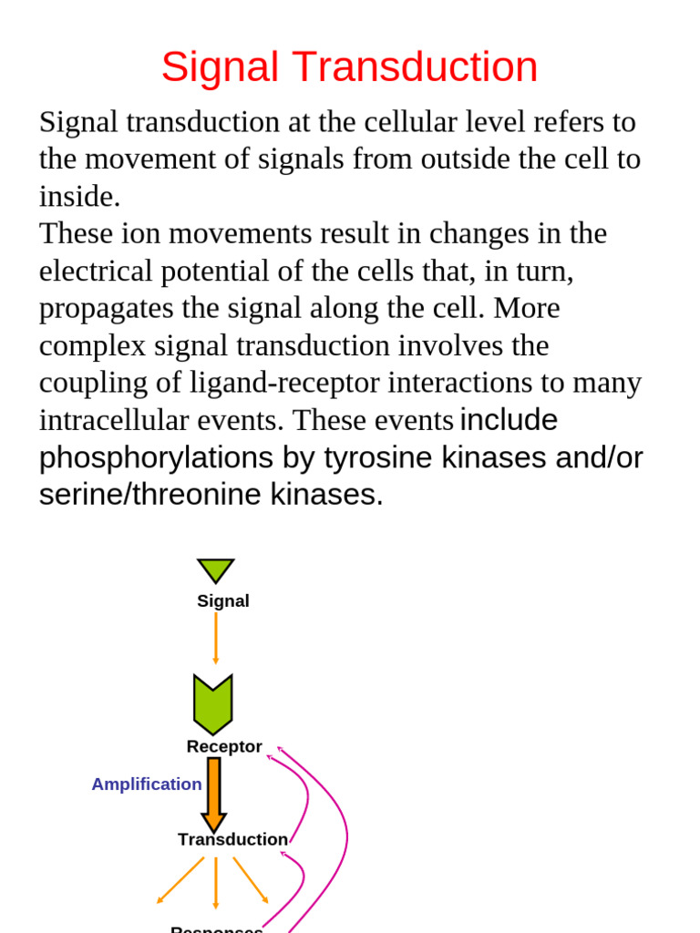 Signal Transduction (BIC 701) | PDF | Signal Transduction | Protein Kinase