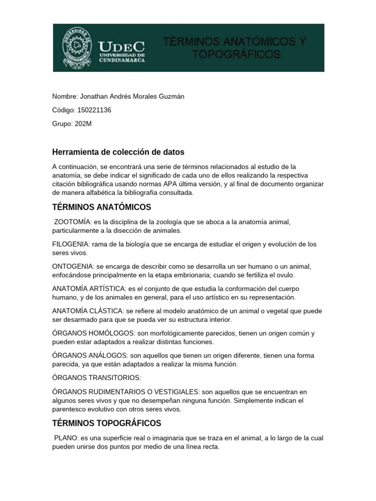 Términos Anatómicos y Topográficos | PDF | Términos anatómicos de ...