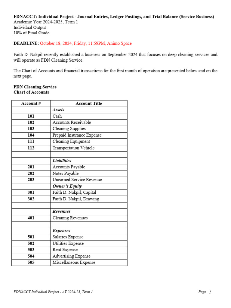 FDNACCT_Individual Project_FDN Cleaning Service | PDF | Expense ...