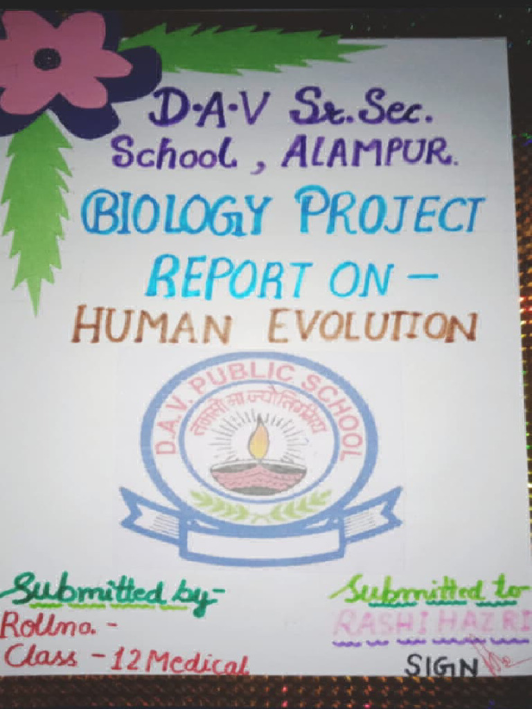Human Evolution Poster Project | PDF