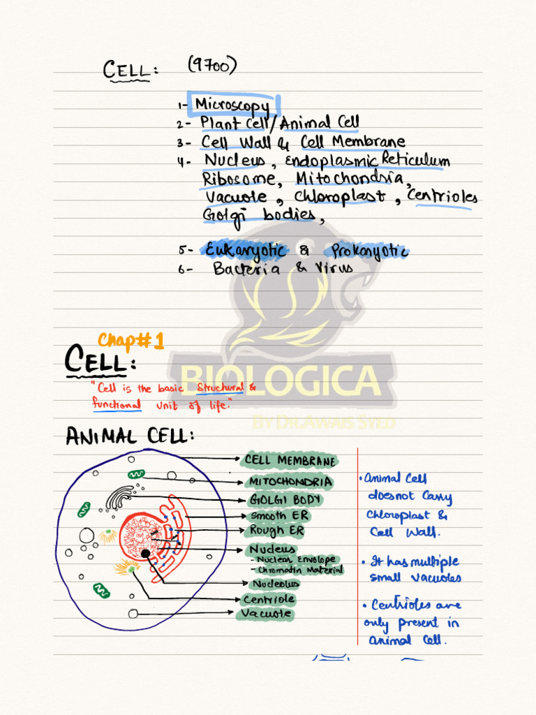 1.Cell Structure as (2023 Complete) | PDF | Endoplasmic Reticulum | Cell (Biology)