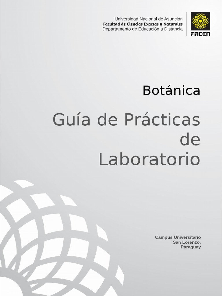 Guía de Laboratorio - Botánica - 24 | PDF | Tallo de la planta | Plantas