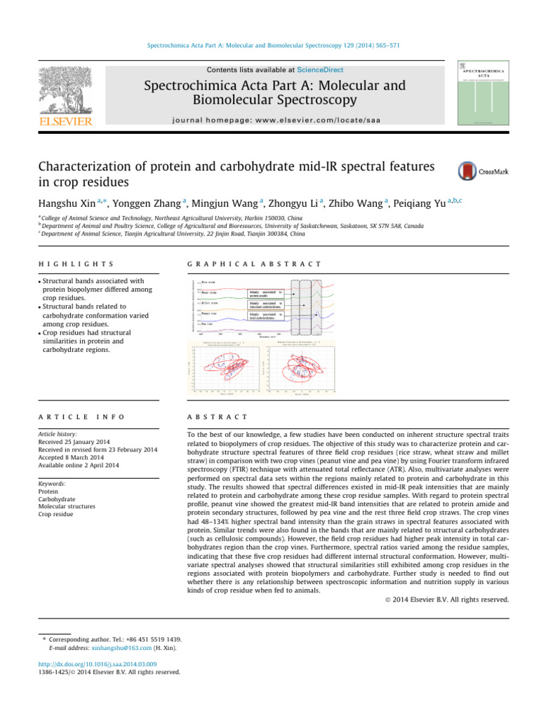 Characterization of protein and carbohydrate mid-IR spectral features | PDF | Cereals | Spectroscopy