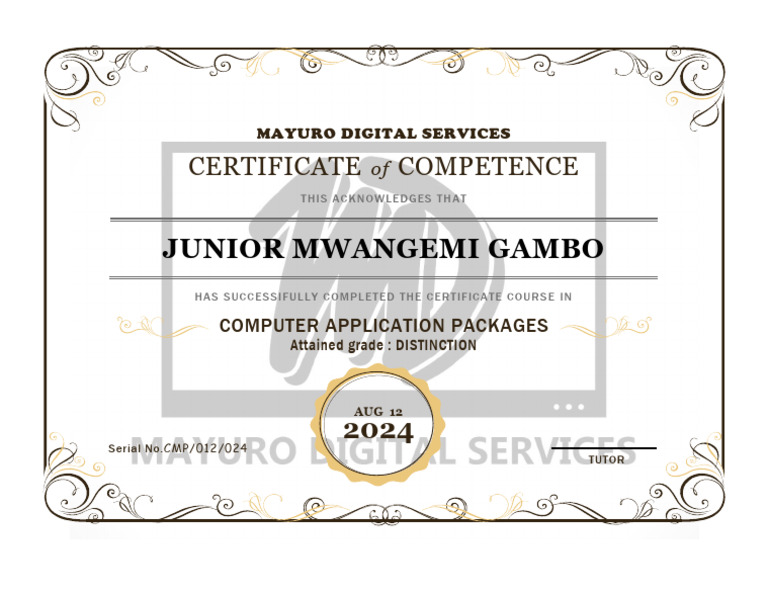 COMP CERT JUNIOR | PDF